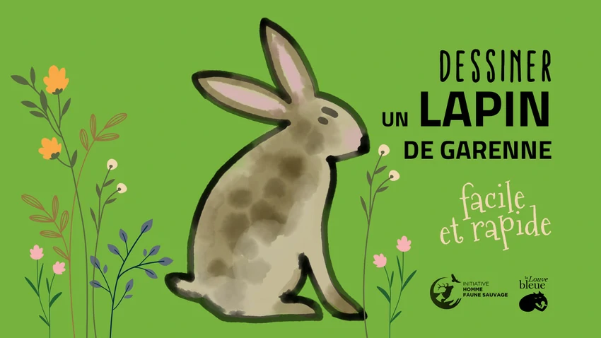 Comment dessiner un lapin de Pâques Comment dessiner un lapin de Pâques